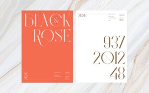 28 Best Free Display Fonts | For Designers 2020