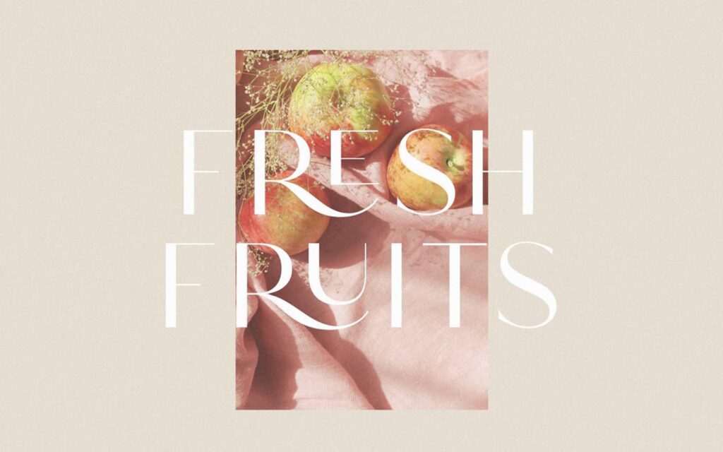 28 Best Free Display Fonts | For Designers 2020