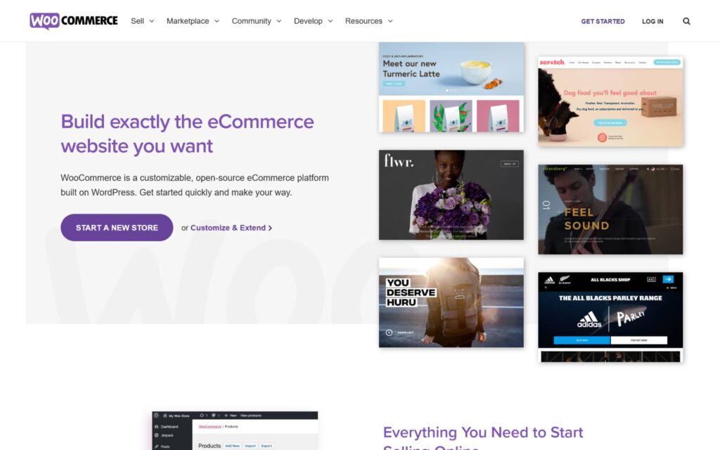 20 Must-Have WordPress Plugins for Business Websites | 2021